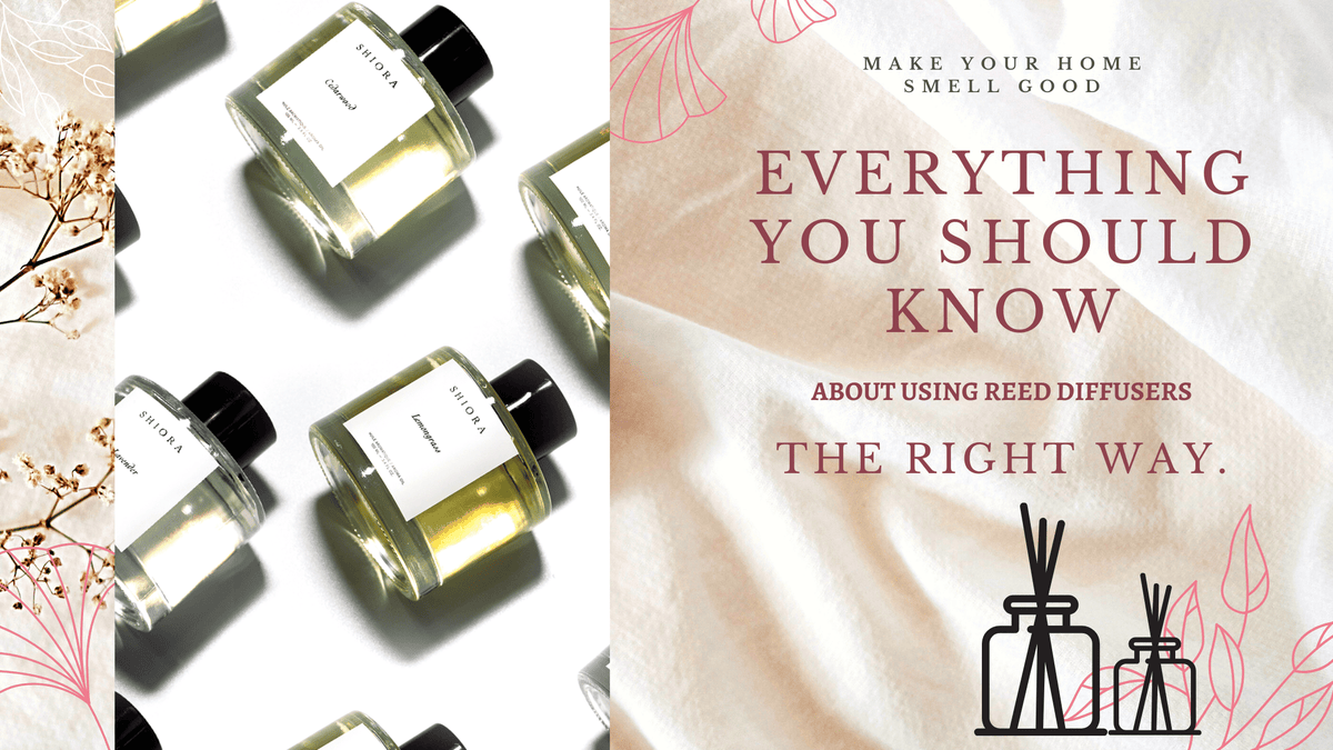 Best Tips for Using a Reed Diffuser | SHIORA